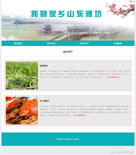 534 我的家乡山东潍坊旅游主题网页 大学生期末大作业 web前端网页制作 html css 网页设计期末大作业山东风景 csdn博客