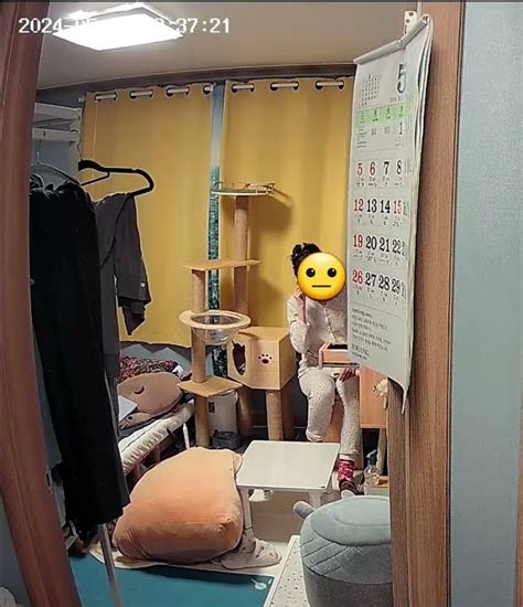 동생밟고 점프하는 고양이😠고양이고양이일상 Youtube