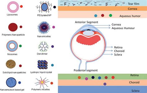 The Image Illustrates The Varying Capacities Of Different Download Scientific Diagram