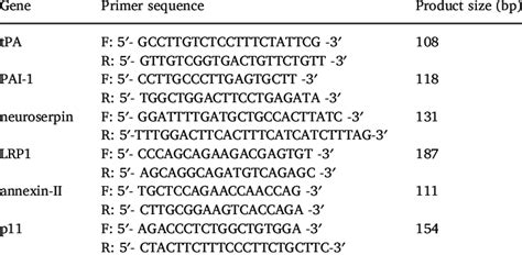 Primers Of Target Gene Used In The Rt Qpcr Of Human Download