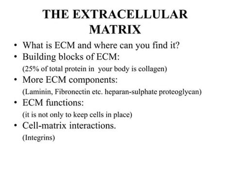 Extracellular Matrix And Its Components Pptx Biological Sciences Science