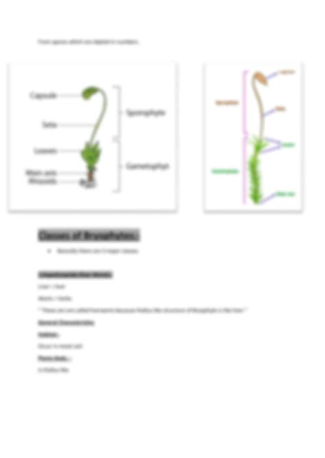 Solution Bryophytes And Classes Studypool