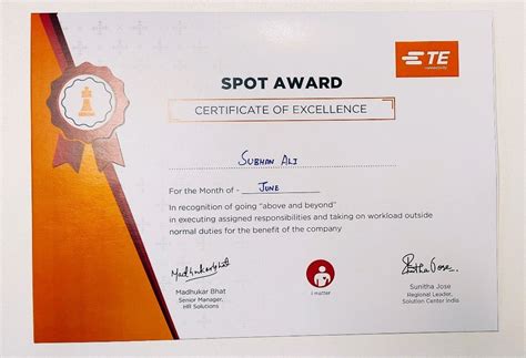 teconnectivity subhan ali