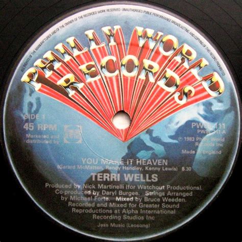 Terri Wells You Make It Heaven 1983 Vinyl Discogs