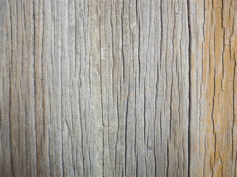 Premium Photo Texture Of Tree Surface Brown Color For Background
