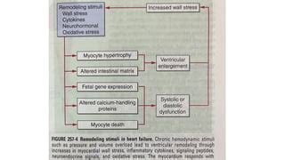 Heart Failure Pdf