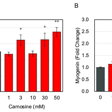 Expression Of Differentiation Marker Gene C2c12 Cells Were