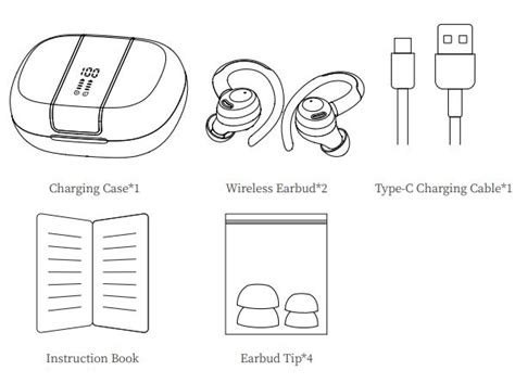 Csasan V90 True Wireless Stereo Earphones User Guide