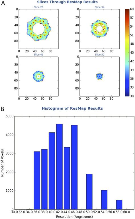 Fig S4 Resolution Estimate Of VAP Subtomogram Average A Local