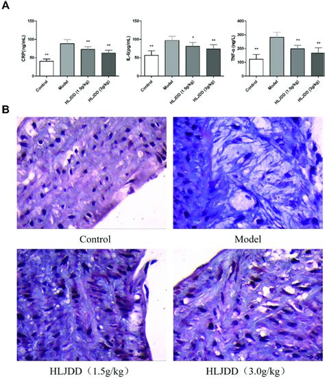 A The Serum Crp Il 6 And Tnf α Levels In Rabbits P Download