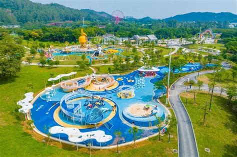 【贯彻落实全会精神】新会区文化广电旅游体育局：勇担新时代新的文化使命 构建新会文旅体高质量发展新标杆澎湃号·政务澎湃新闻 The Paper