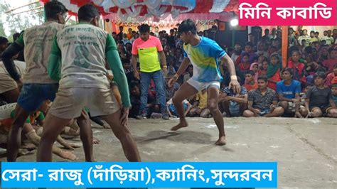 সোনালী সংঘের মাঠ রাজু সেরা টা দিয়ে দিলো Mini Kabaddi Sundarban Youtube
