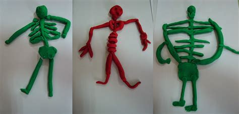 Los peques del Sanra El cuerpo humano el esqueleto I 5 años