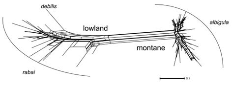 Multi Locus Network Obtained Using Standardized Genetic Distances Of