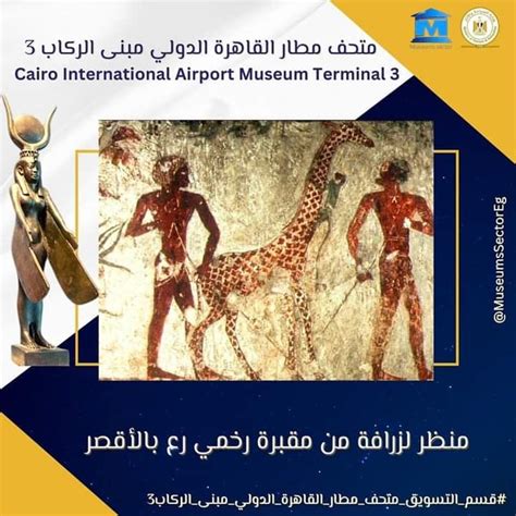 متى بدأت ظهور حدائق الحيوان في مصر؟ متحف مطار القاهرة يكشف الحقيقة