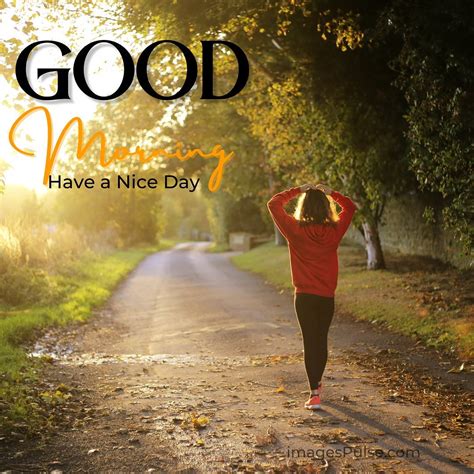 Imagespulse Explore Good Morning Good Night Images Imagespulse
