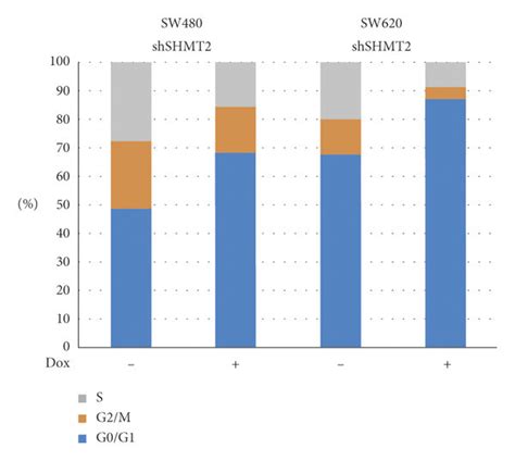 Shmt2 Knockdown Impaired Crc Cell Proliferation By Blocking G1s
