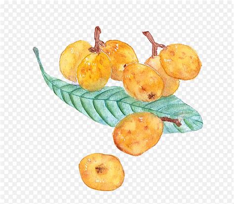 Png Png
