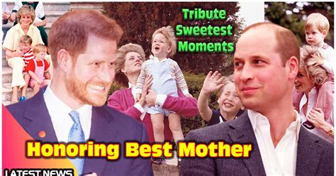 Prince Harry And Prince William Tribute Princess Diana 9 Sweetest Momen