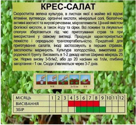 МАТЕРІАЛИ ДЛЯ ДІТЕЙ Урок 28 СВІТ РОСЛИН МОДЕЛЬНА НАВЧАЛЬНА ПРОГРАМА ДЛЯ 1 ГО КЛАСУ ТА