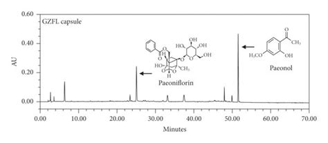 A Representative Hplc Chromatogram Of Gzfl Capsule With Uv Detector Set Download Scientific