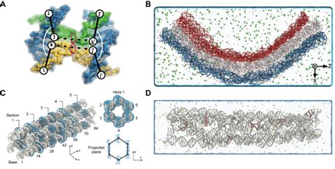 Atomistic Molecular Dynamics Simulation A Holliday Junction In