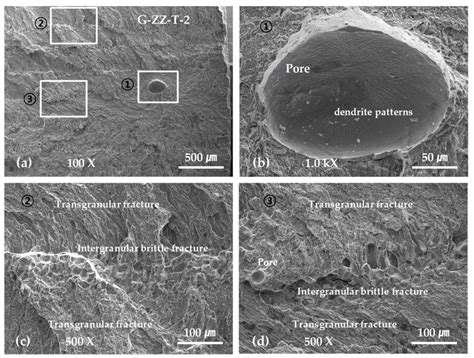 Scanning Electron Microscopy Sem Micrographs Showing The Tensile