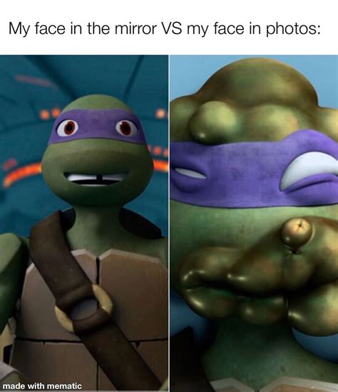 Detail Ninja Turtle Meme Face Koleksi Nomer 18