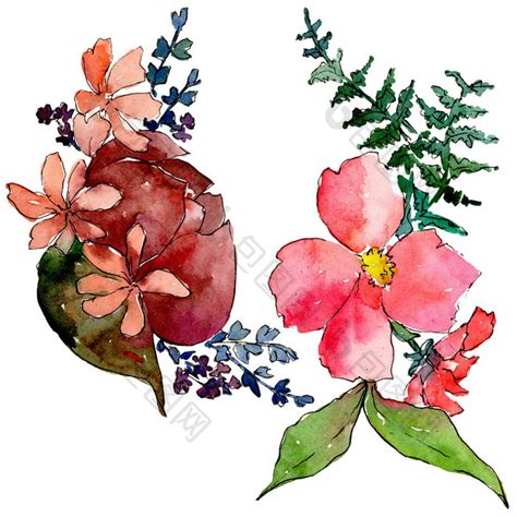 花束与向日葵花卉植物花野生春叶野花分离水 包图企业站
