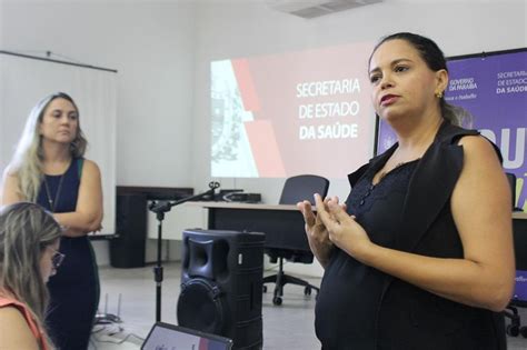Governo Discute Cenário Das Arboviroses Com Os 223 Municípios