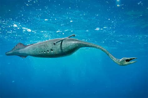This Tully Monster Mystery Keeps Getting Weirder Bbc Science Focus