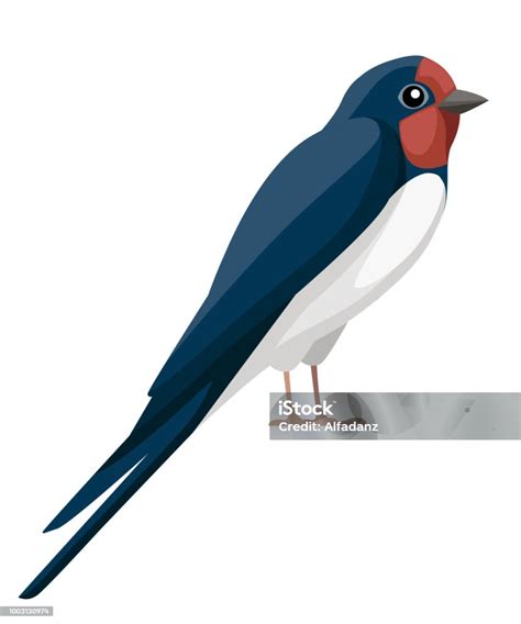 새를 삼 킬 플랫 만화 캐릭터 디자인입니다 다채로운 새 아이콘입니다 귀여운 제비 앉아입니다 벡터 일러스트 레이 션 흰색 배경에 고립 갈고리 발톱에 대한 스톡 벡터 아트 및