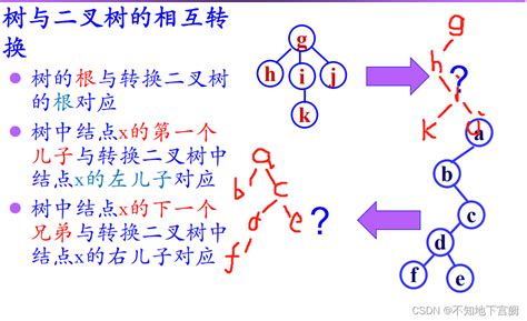 数据结构与算法复习6数据结构中什么叫真子孙 Csdn博客