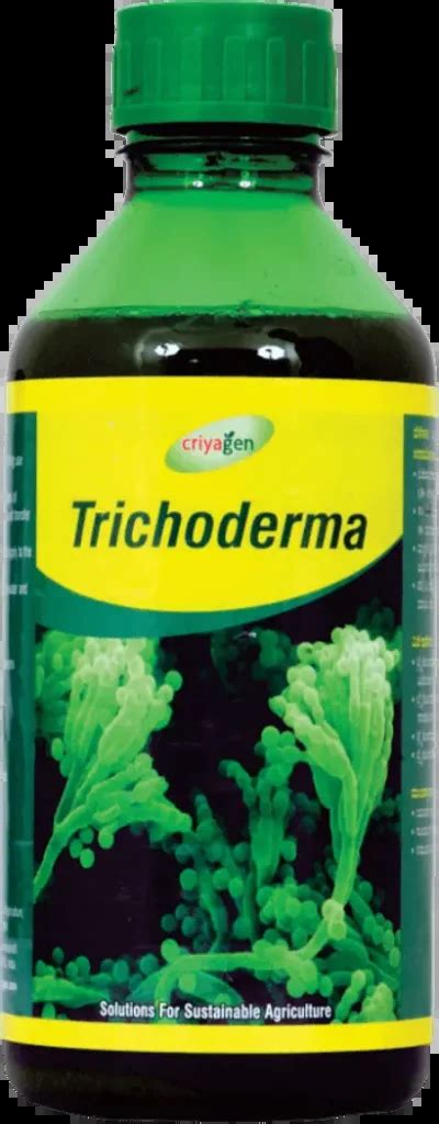 Trichoderma The Organic Alternative To Chemical Pesticides Agriapp