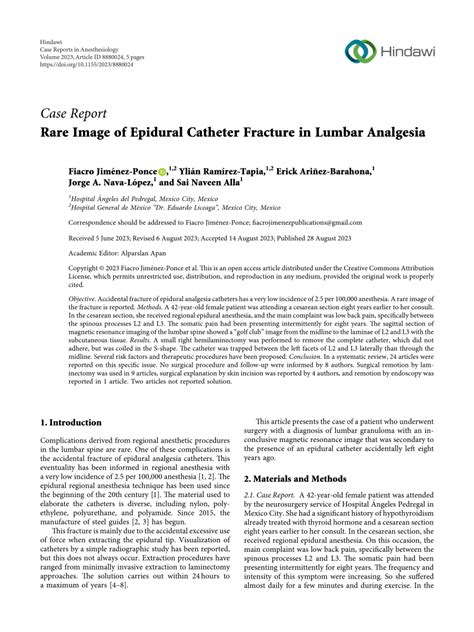 Pdf Rare Image Of Epidural Catheter Fracture In Lumbar Analgesia