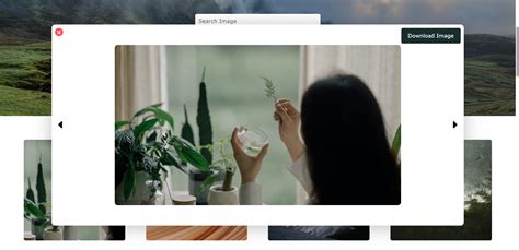 Github Sonideepanshiimage Search A Simple Free Image Search Web App