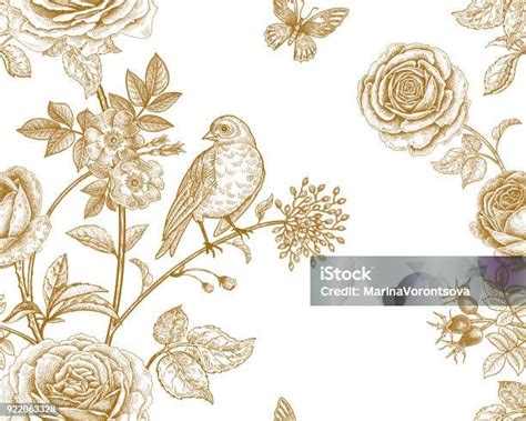 與花園花卉和鳥類無縫模式向量圖形及更多花圖片 花 玫瑰 金 Istock