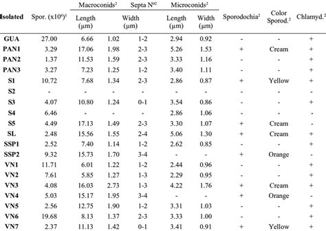 Morphological Characteristics Of Fusarium Spp Obtained From Pecan