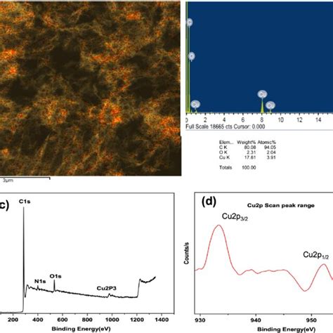 A Tem Image B Tem Eds Analysis Spectrum C Xps Wide Spectrum And D Xps Download Scientific