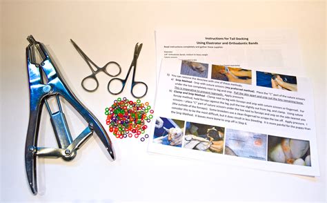 Tail Docking And Dewclaw Removal Kit