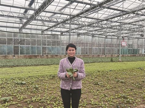 智慧种地，新农人变兴农人新华日报2025年01月18日4