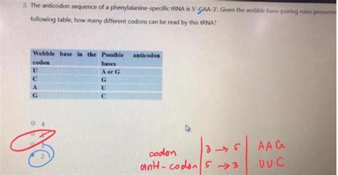 Solved 2 The Anticodon Sequence Of A Phenylalanine Specific