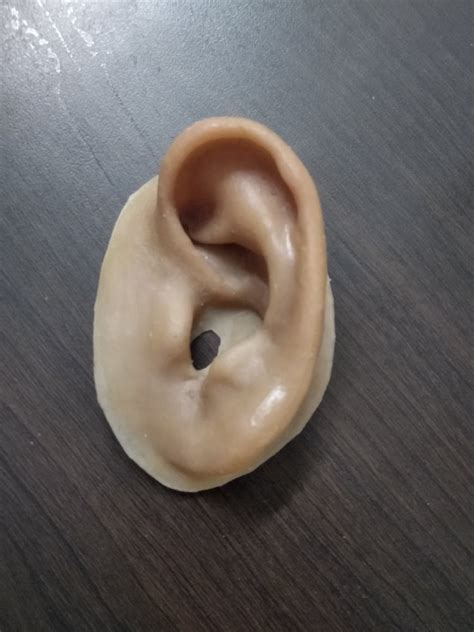 Cosmetic Artificial Silicone Ear At ₹ 25800 In New Delhi Id 23842093430