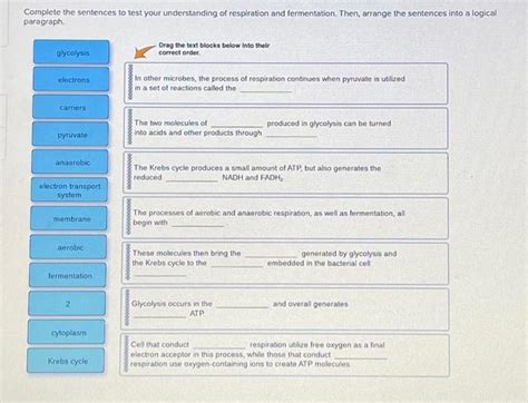 solved complete the sentences to test your understanding of