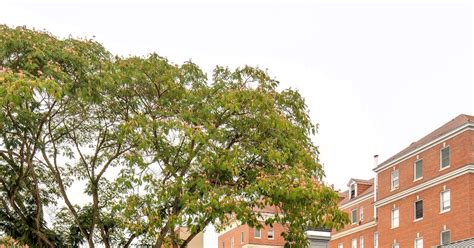 Sw Oregon Architect Emeritus On Architecture Meaning And The