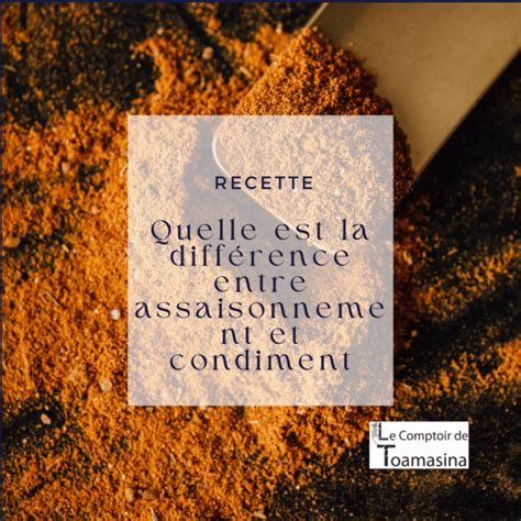 Quelle Est La Diff Rence Entre Assaisonnement Et Condiment