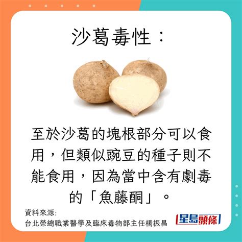 薯仔禁忌食错3种薯恐脑退化变植物人医生揭易中毒致命食法 星岛日报