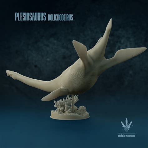3d Printable Plesiosaurus Dolichodeirus The Marine Long Neck By Miniature Museum