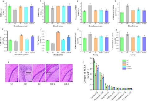 Effect Of Smp On Sod Activity In Brain Tissue Of Mice A Sod Activity