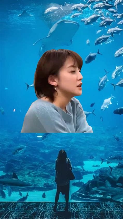 宮司愛海aimi Miyajifamous Announcerbeauty Announcer Of Fuji Tv【2022